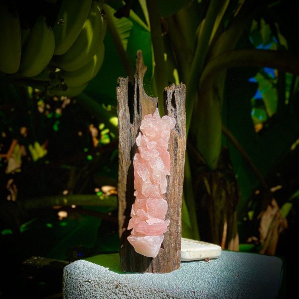 Shop – Crystal Enlightenment